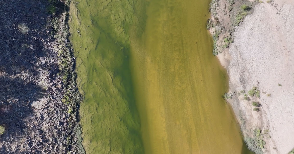 LCRA Parks | Shaffer Bend Recreation Area